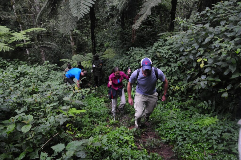 7 Days Mount Elgon Hike to Wagagai Peak
